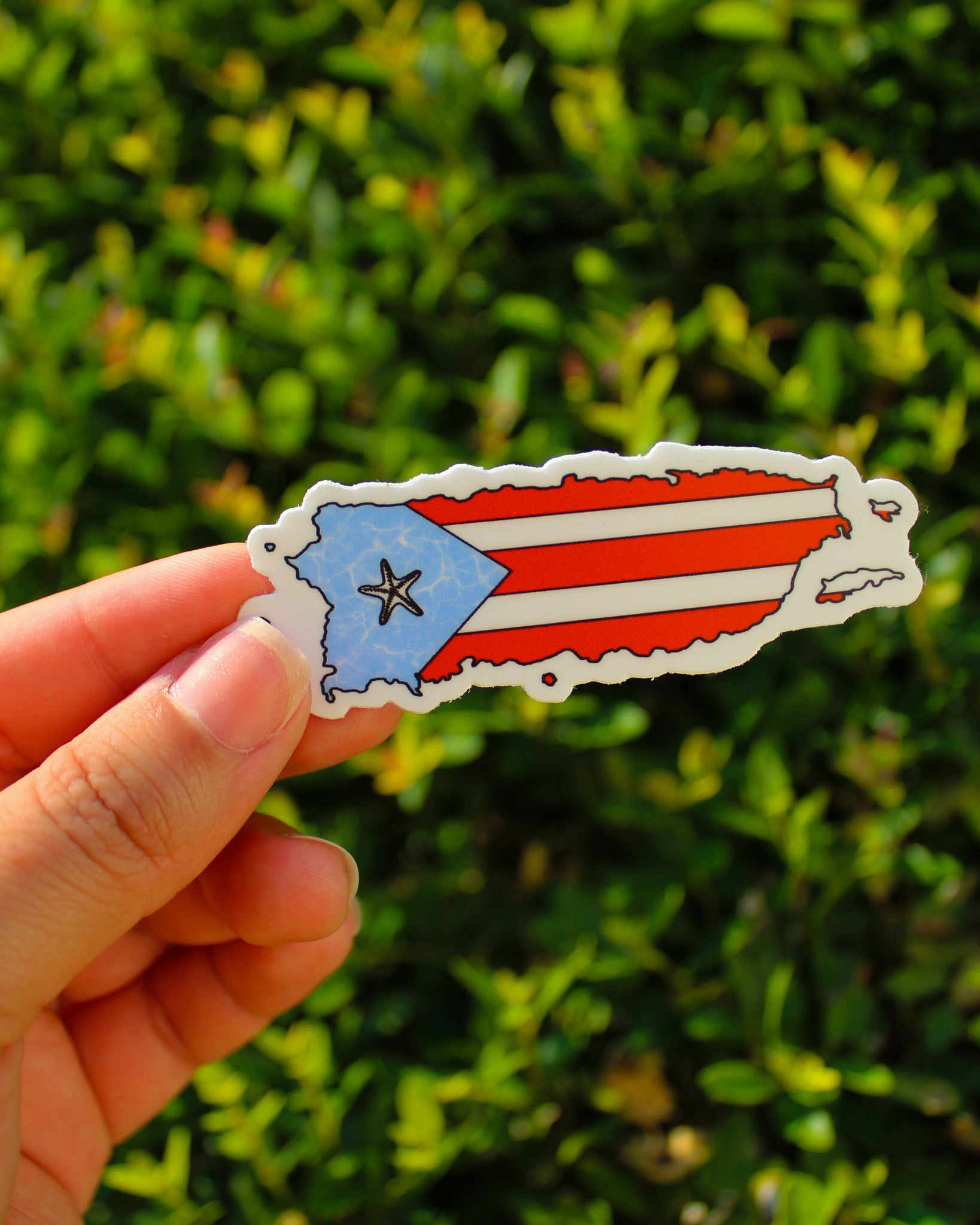 Puerto Rican flag STICKER – Honey Lemon Art & Design